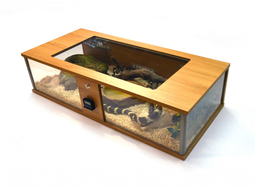 My Perfect Vivariums – Vivexotic Vivariums